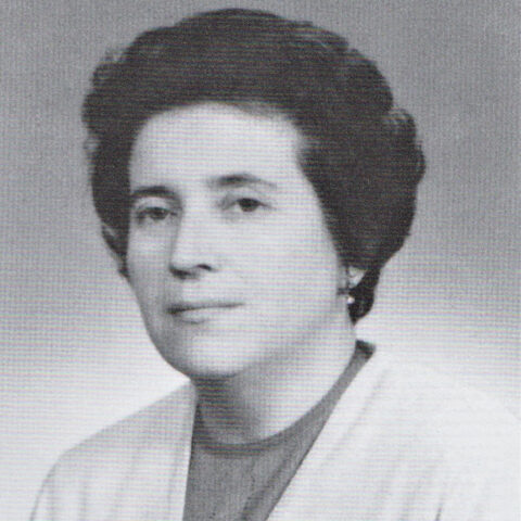 Mulheres pela Igualdade - Iniciativas Nacionais